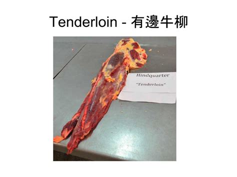 Frozen Beef Tradimpex Importação Exportação Ltda