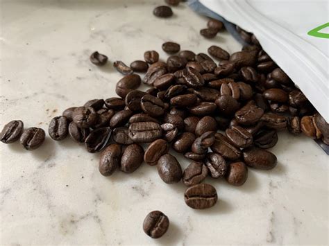 Jacu Bird Coffee - The Mystery Uncovered Of This Rare Coffee