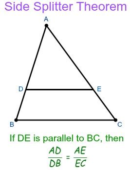 What Is The Side Splitter Theorem