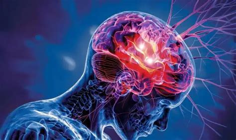 Programming Cells Help To Fight A Brain Tumor