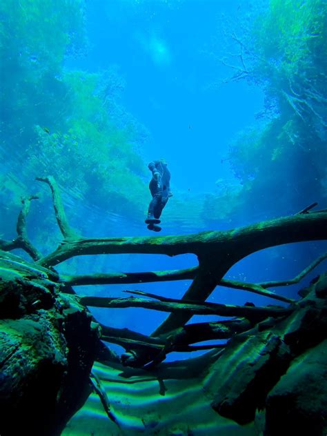 7ª Caverna Inundada Mais Profunda Do Brasil Tem 220m De Coluna Dágua