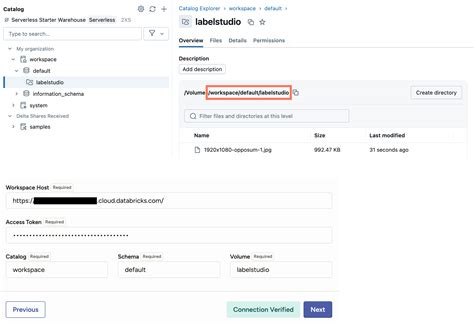 Label Studio Enterprise Documentation — Set Up Databricks Storage