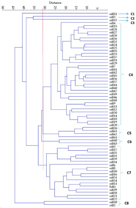 dendrogram showing the relationship among 63 wheat genotypes based on