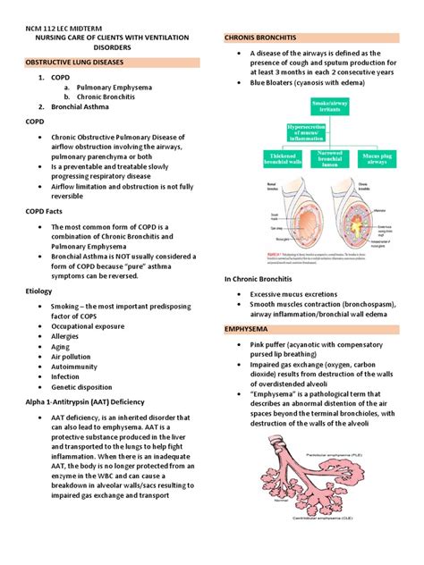Key Nursing Diagnosis For Emphysema Pdf Chronic Obstructive