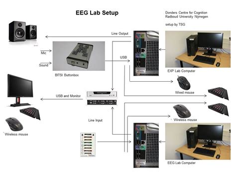 Eeg Lab Tsg Doc