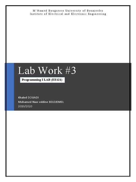 Lab Report Programming Pdf Area Computer Programming