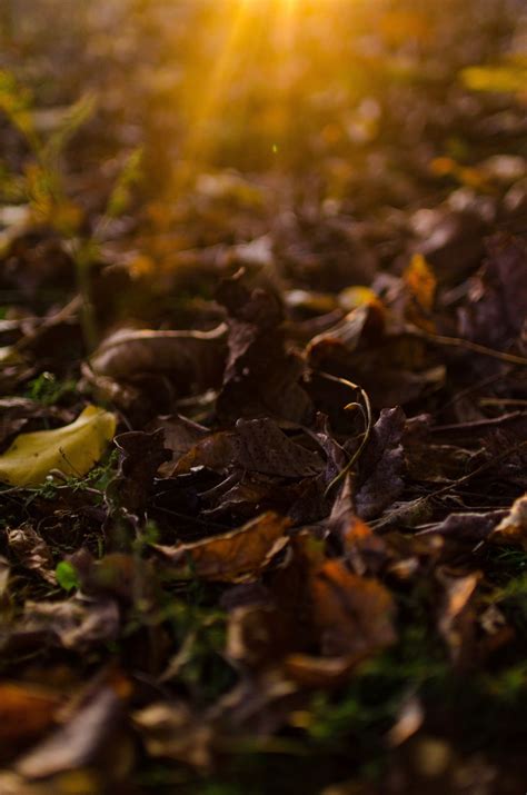 Abdul Hanan On Linkedin They Say That To Become The Best You Should Learn From The Best As…