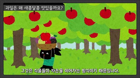 과일은 왜 새콤달콤 맛있을까요 Youtube