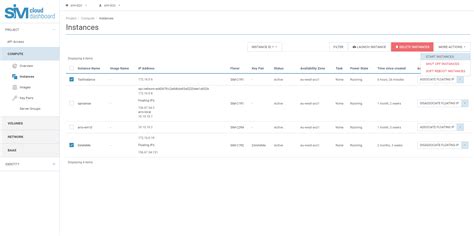 Rebooting An Instance — Sim Cloud 50 Documentation