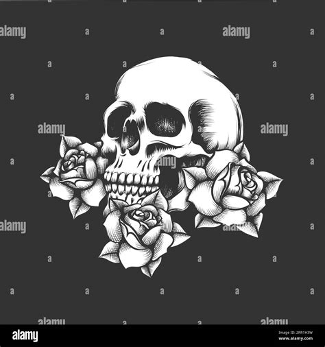 Skull And Rose Background