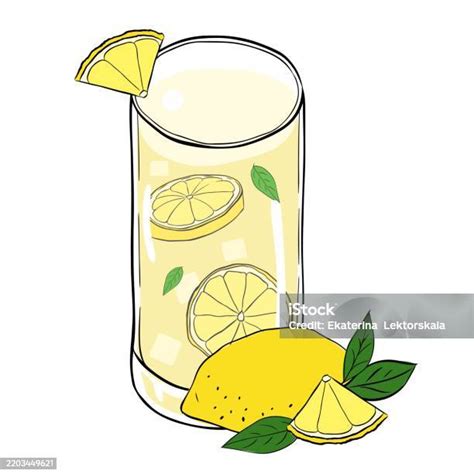 아이스 티 레모네이드 투명 유리 그래픽 라인 잉크 구성 벡터 고립 된 자세한 손으로 그린 그림 그림 감귤류 과일에 대한 스톡 벡터 아트 및 기타 이미지 Istock