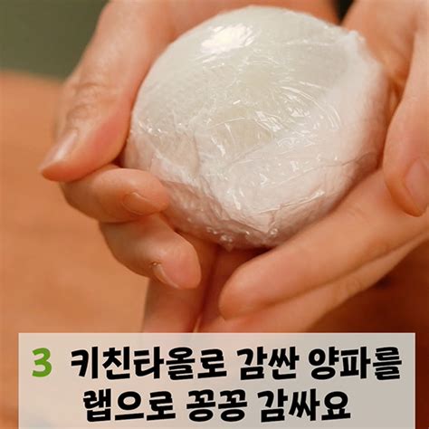 양파 보관법