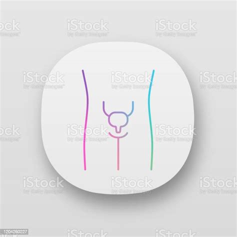 Icône Saine Dapplication De Réservoir Souple Urinaire Organe Humain En Bonne Santé Bienêtre Des