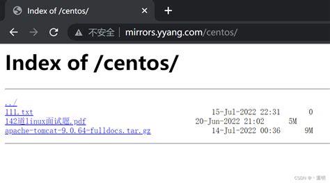 【2022】nginx目录索引模块ngx autoindex module 阿里云开发者社区