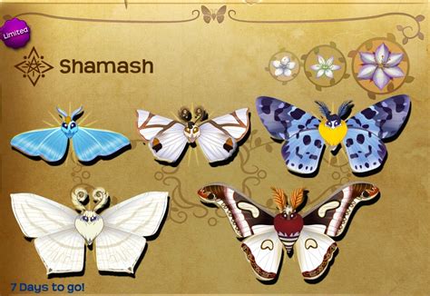 A Flutter Starlight Journey