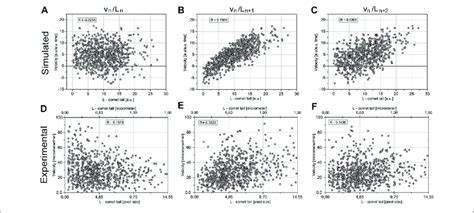 Correlation Between The Velocity Of Mt Elongation And Tail Length Download Scientific