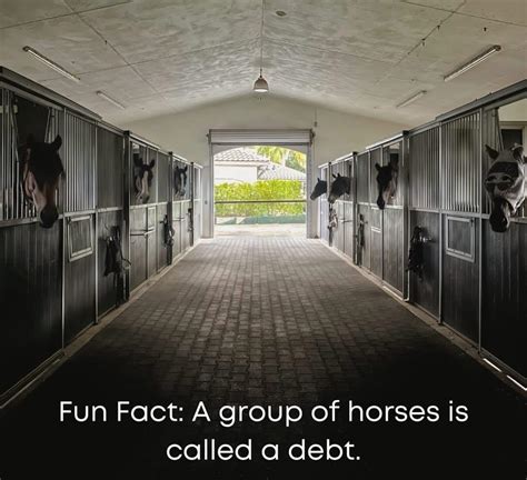 Tis True Danielle Dubay Navarro Facebook