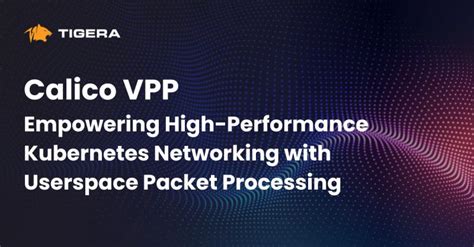 vuk gojnic on linkedin calico vpp empowering high performance