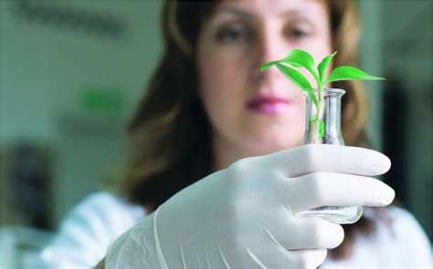 This Agency Is Awarding 382 650 In Grants To Increase Women In STEM Fields