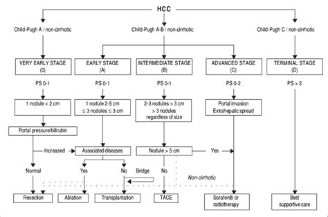 The Proposed Bern Clinic Liver Cancer Beclc Algorithm For The The Proposed Bern Clinic Liver Cancer Beclc Algorithm For The