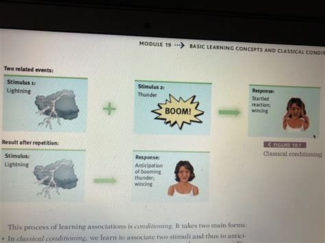 Module 19 Basic Learning Concepts And Classical Conditioning Flashcards Quizlet