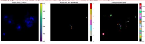 announcing instanseg a new nucleus and cell segmentation tool page