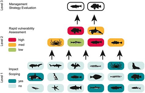 Ecological Risk Assessment
