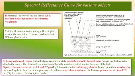 Energy Interactions With Earth Surface Features Pptx