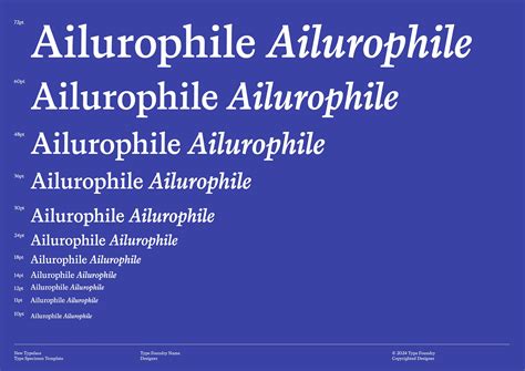 Type Specimen Template — Type Design Class