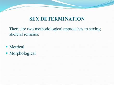 Sex Determination From Skull Remains101 Ppt Bone And Joint