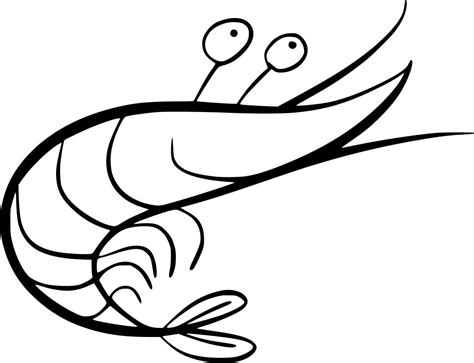 ภาพระบายสีหน้ากุ้งง่ายๆ ดาวน์โหลด พิมพ์ หรือระบายสีออนไลน์ได้ฟรี