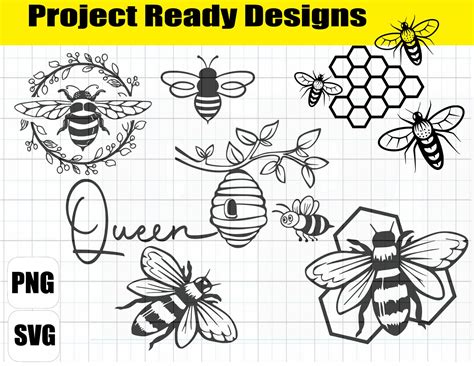 Honey Bee Svg Design Bundle Honeybee Svg Honeybees Etsy