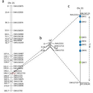 Lint And Fuzz Phenotypes In The Two Mapping Parents A Lint With Download Scientific Diagram
