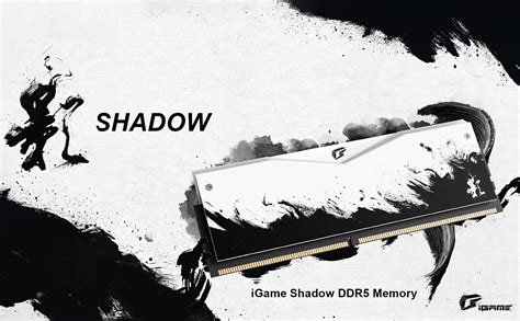 Đem Tranh Thủy Mặc Lên Ram Với Colorful Igame Shadow Ddr5