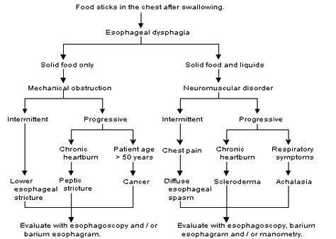 11 Dysphagia Ideas Dysphagia Dysphagia Therapy Speech Language Pathology