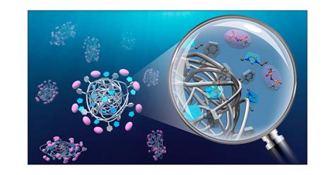 Microscopic Structure Of Solvated Polybenzyl Methacrylate In An Imidazolium Based Ionic Liquid