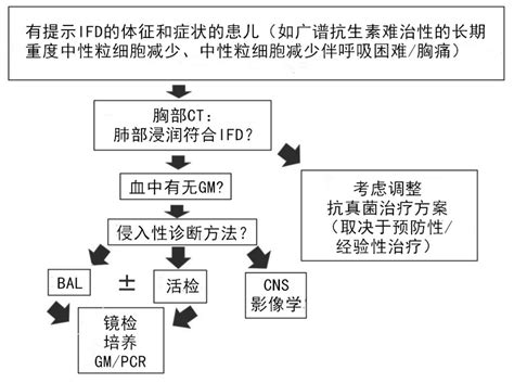 接受化疗和造血干细胞移植患儿侵袭性真菌病的管理 侵袭性真菌感染 医脉通