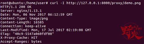 nginx整数溢出漏洞cve 2017 7529 知乎