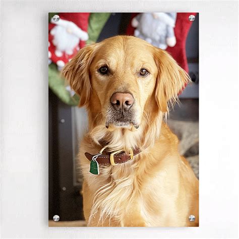 Custom Dog Plexiglass Floating Frames Art Personalized Pet Portrait