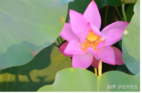 我的“认知”你认可吗？ 知乎