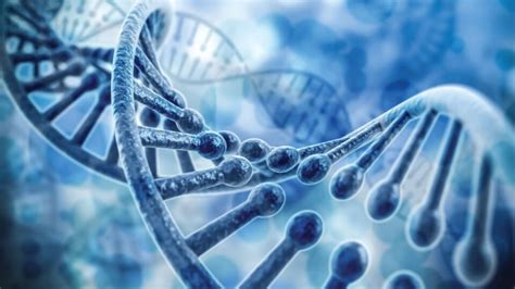 Element Introduces New Element Loopseq™ Long Read Sequencing Kits Ai