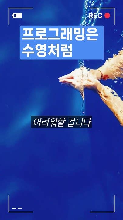 프로그래밍 공부는 수영처럼 해야합니다 프로그래밍 Python 개발자 Youtube