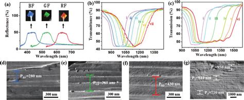 A Selective Reflection Spectra For Bf Gf And Rf Respectively The Download Scientific