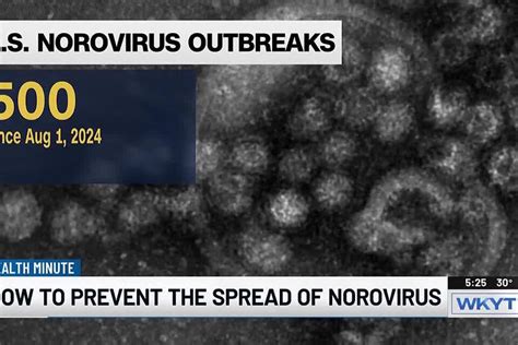 Better Living How To Prevent The Spread Of Norovirus Newsbreak