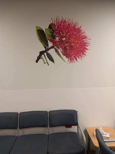 Fun And Vibrant Artwork For Radiology Wellington Hospitals Foundation