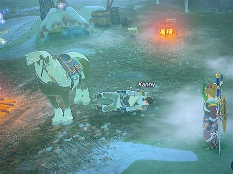 Ran Into This On My Adventures Today R Botw