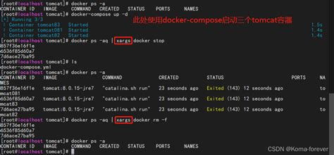 Shell 基本语法第四讲之find文件查找、xargs字符串拼凑、sed处理文本、awk文本处理、crontab系统定时