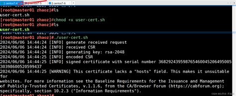 【kubernetes】k8s集群安全机制rbac 保姆级攻略哦 kb集群认证方式有几种 csdn博客