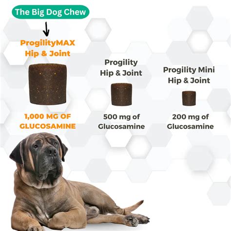 Nootie Progility Hip And Joint Max Soft Chew Supplement 60 Ct A Better